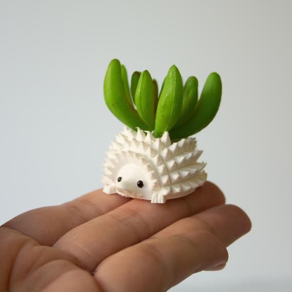 Single Mini Hedgehog Planter Mini Hedgehog Pot Tiny - Etsy | Hedgehog ... Single Mini Hedgehog Planter Mini Hedgehog Pot Tiny - Etsy | Hedgehog ...