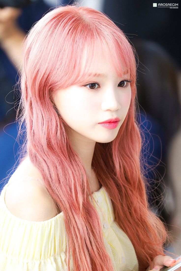 Pin De ♡ Izone X1 ♡ Em 《 Izone