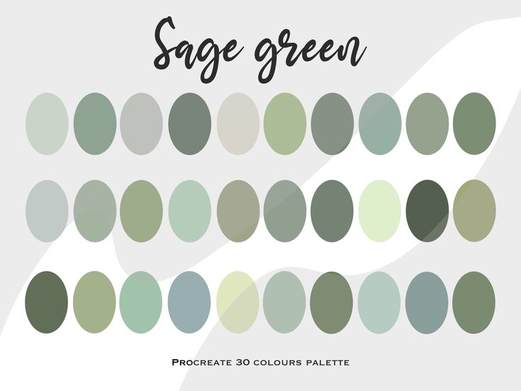 Sage Green Color Palette for Procreate, Shades of Green, Succulent ... Sage Green Color Palette for Procreate, Shades of Green, Succulent ...