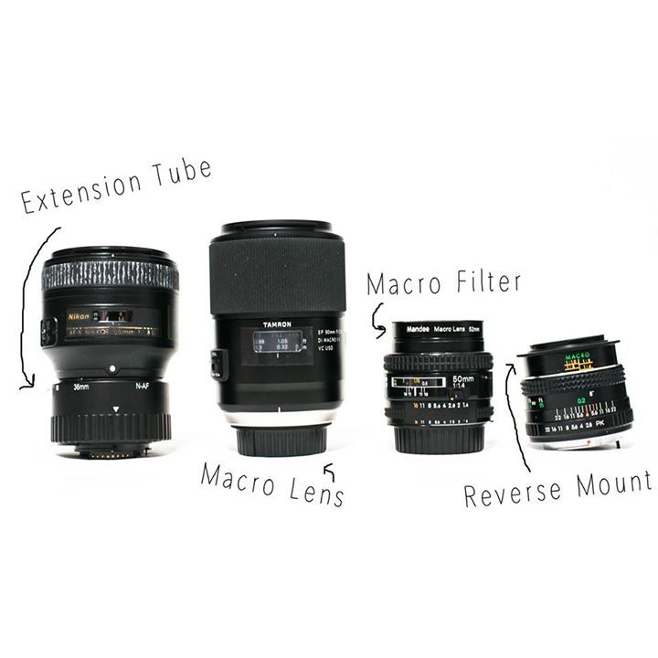 Different Ways to Capture Stunning Macro Images Different Ways to Capture Stunning Macro Images