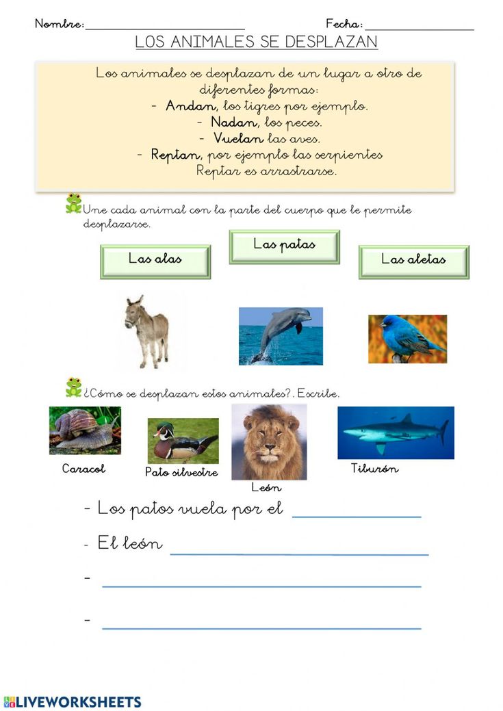 Animales y su habitat Ficha interactiva | Habitats, Animals, Worksheets Animales y su habitat Ficha interactiva | Habitats, Animals, Worksheets