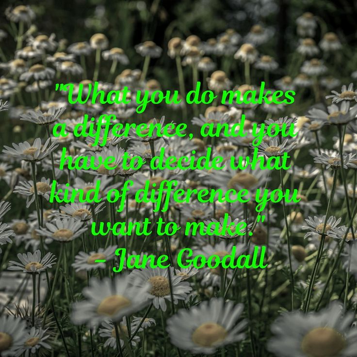 Jane Goodall: Inspiring Quotes Jane Goodall: Inspiring Quotes