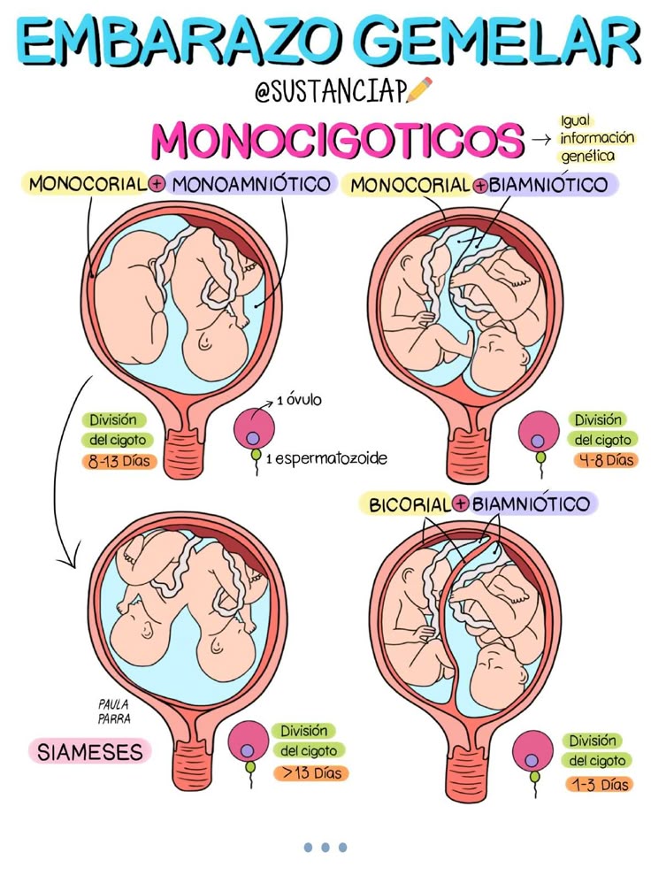 100 Esquemas Médicos Udocz Obstetricia Y Puericultura Medicina De