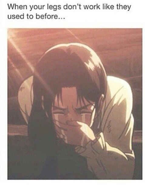 Anime Humor Memes Otaku Beautiful All Anime Fans We Have Collected Top And Fresh Insanely