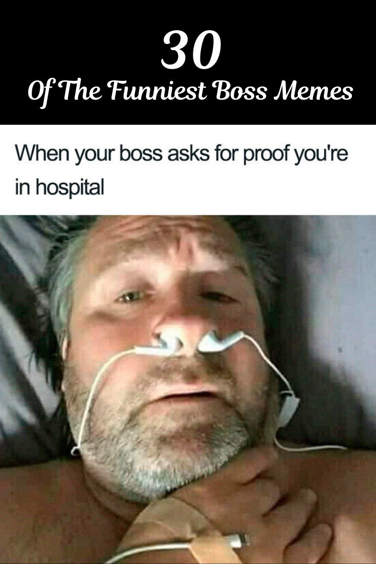30 Of The Funniest Boss Memes Boss Humor Memes Funny Gambaran – Bilarasa 30 Of The Funniest Boss Memes Boss Humor Memes Funny Gambaran – Bilarasa