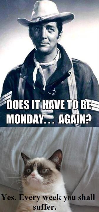Monday Again Grumpy Cat Quotes Grumpy Cat Humor Grumpy Cat