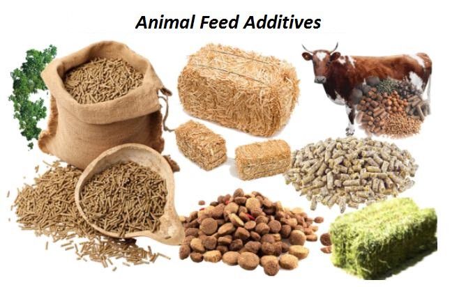 Animal Feed Additives Market | Animal feed, Feeding, Food animals Animal Feed Additives Market | Animal feed, Feeding, Food animals