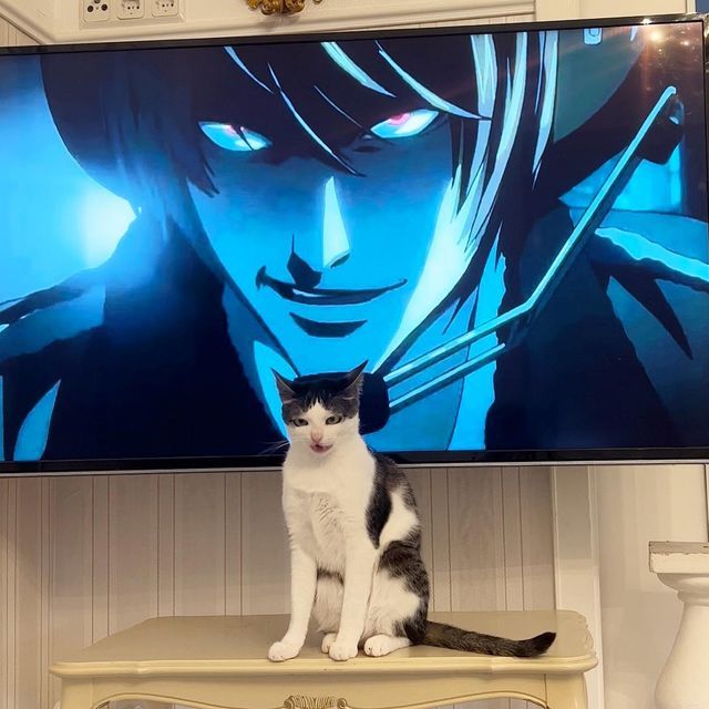 Luna On Instagram Its Just As I Planned The Treats Will All Be Mine” Deathnote Death