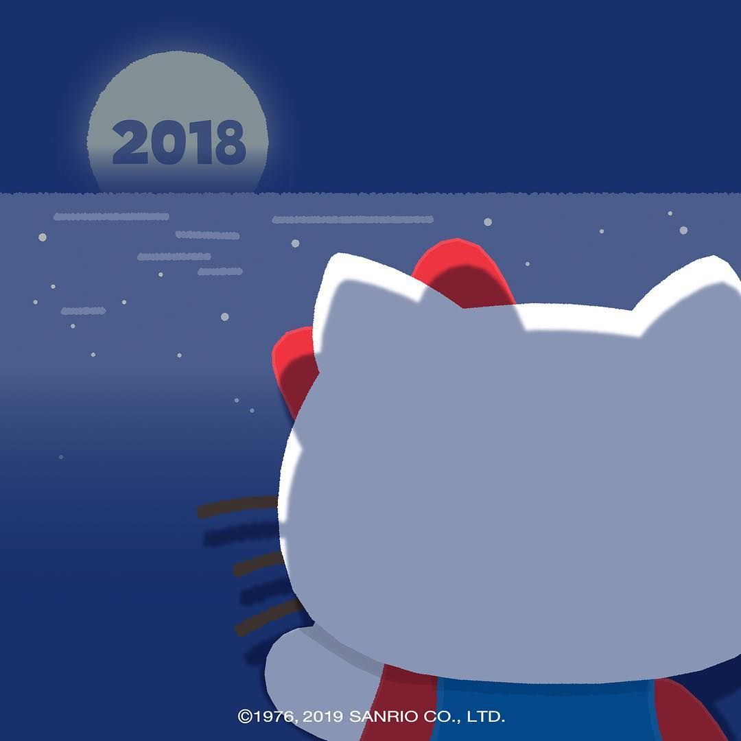 Bye 2018 Kitty Cam Hello Kitty Vans Hello Sanrio Hello Kitty Tattoos