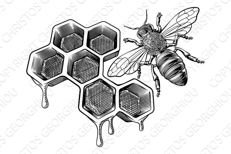 Honey Bumble Bee And Honeycomb Bee Drawing Honey Bee Drawing Bee Art