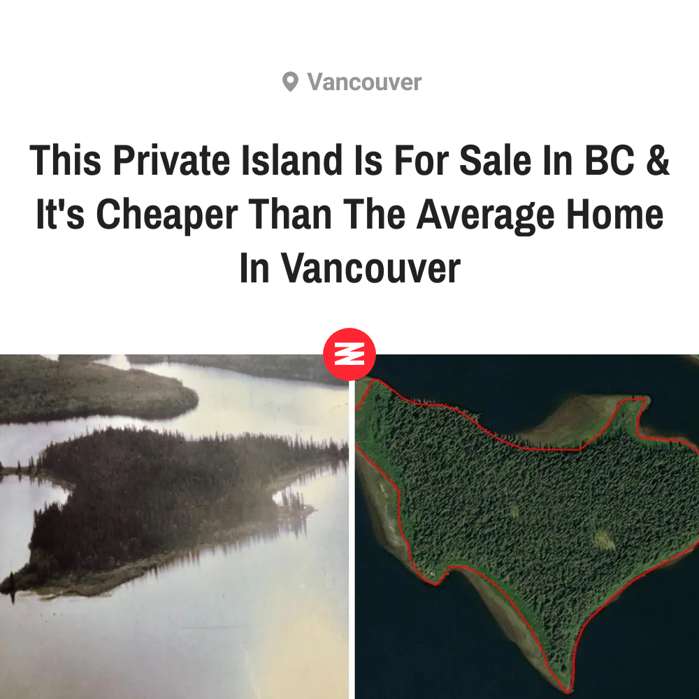 I Went To Canada S Largest Nude Beach Was Shocked By More Than Just The Birthday Suits Artofit
