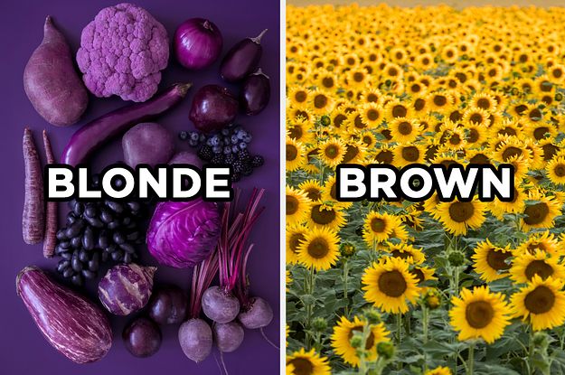 Wanna Know What Color You Should Dye Your Hair Just Choose An Image In