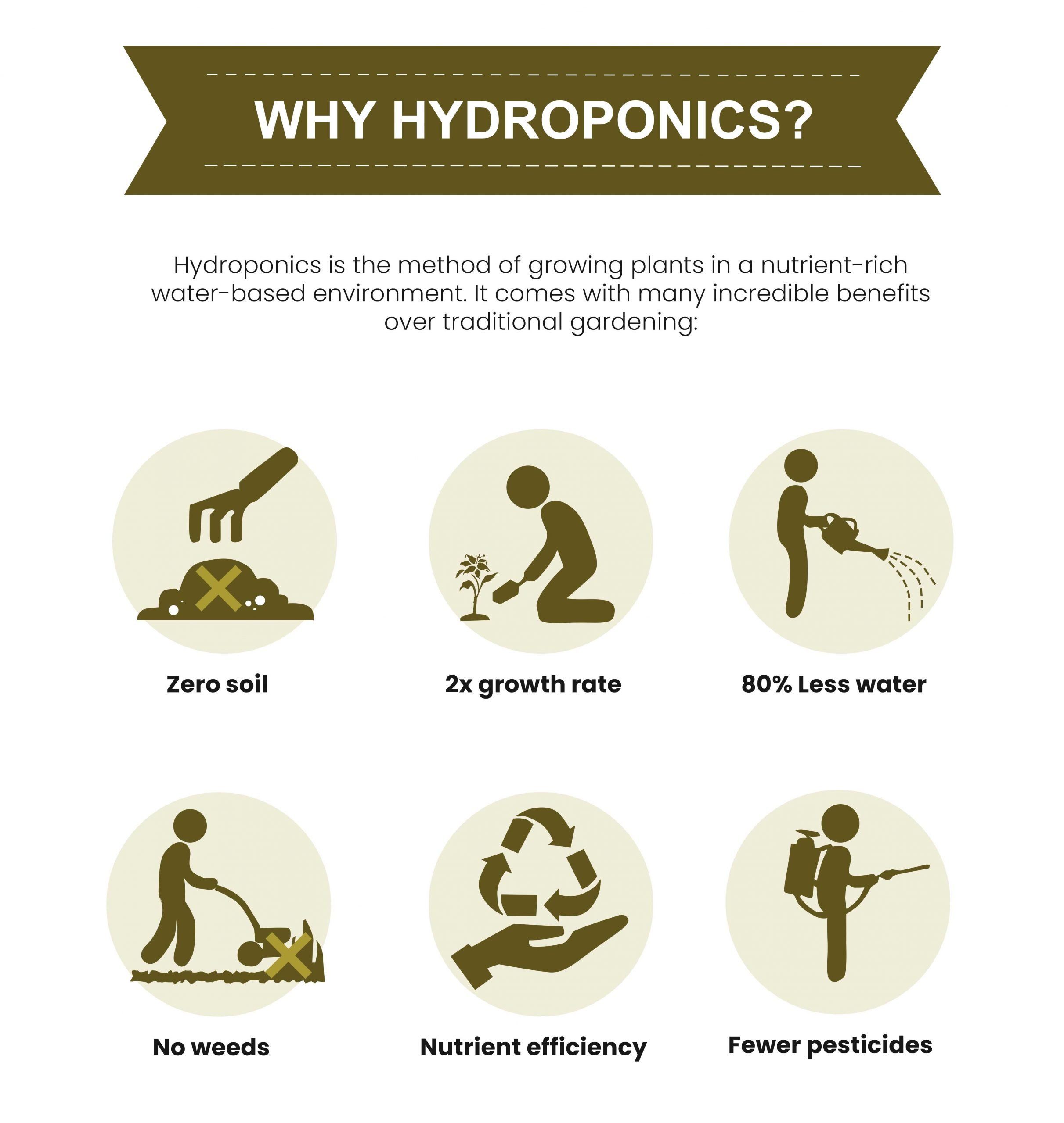 Advantages disadvantages of hydroponics – Artofit Advantages disadvantages of hydroponics – Artofit