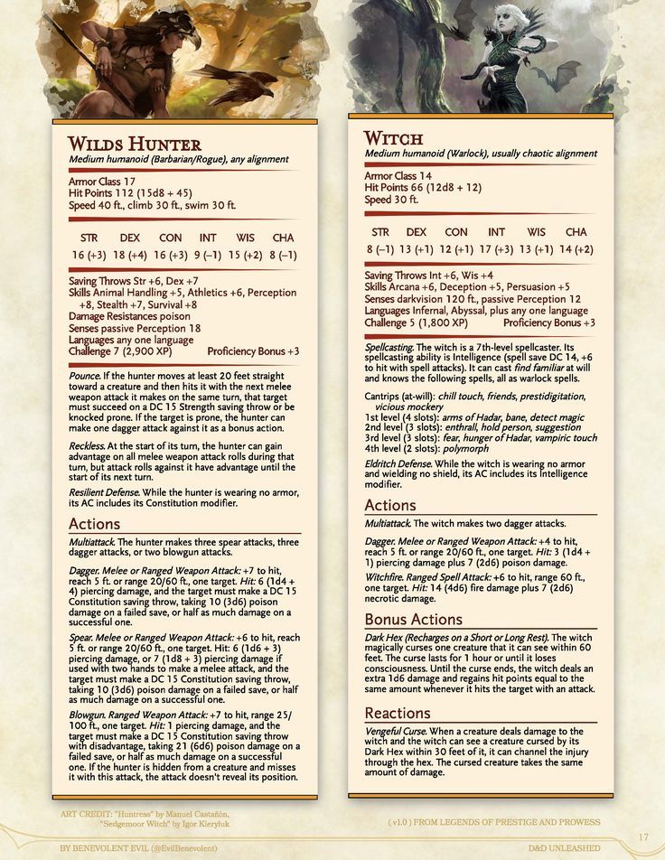 Wilds Hunter Cr7 And Witch Cr5 Npcs Dungeons And Dragons Dnd Dnd