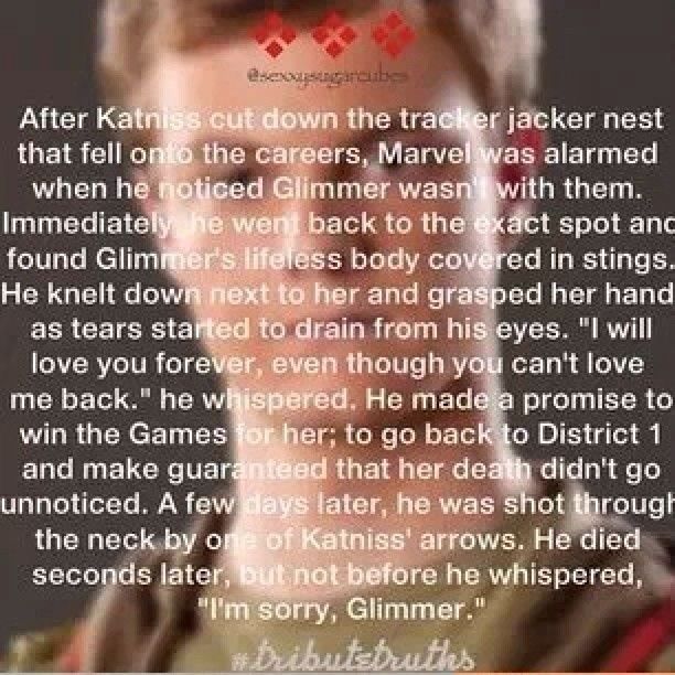 Peeta And Katniss Werent The Only Starcrossed Lovers Hunger Games Humor Hunger Games Plot