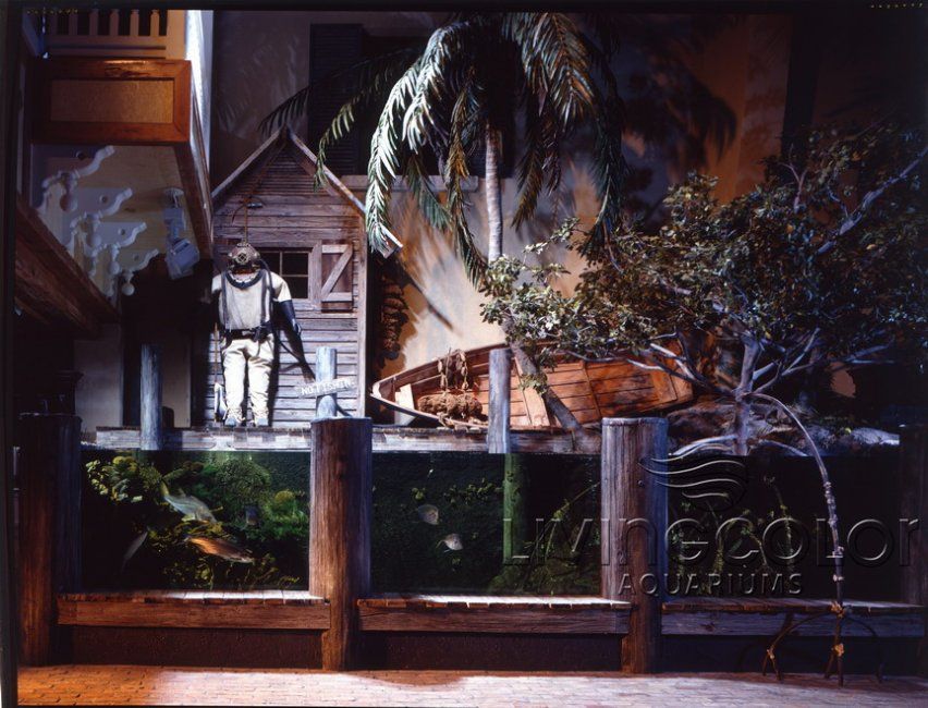 Bass Pro Shops Inc Islamorada Fl Custom Aquarium Aquarium Design Public Aquarium Bass Pro