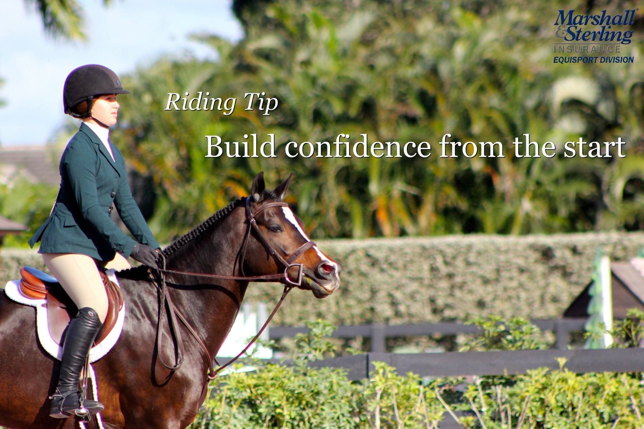 Riding Tip #pony #horse #equestrian Riding Tip #pony #horse #equestrian