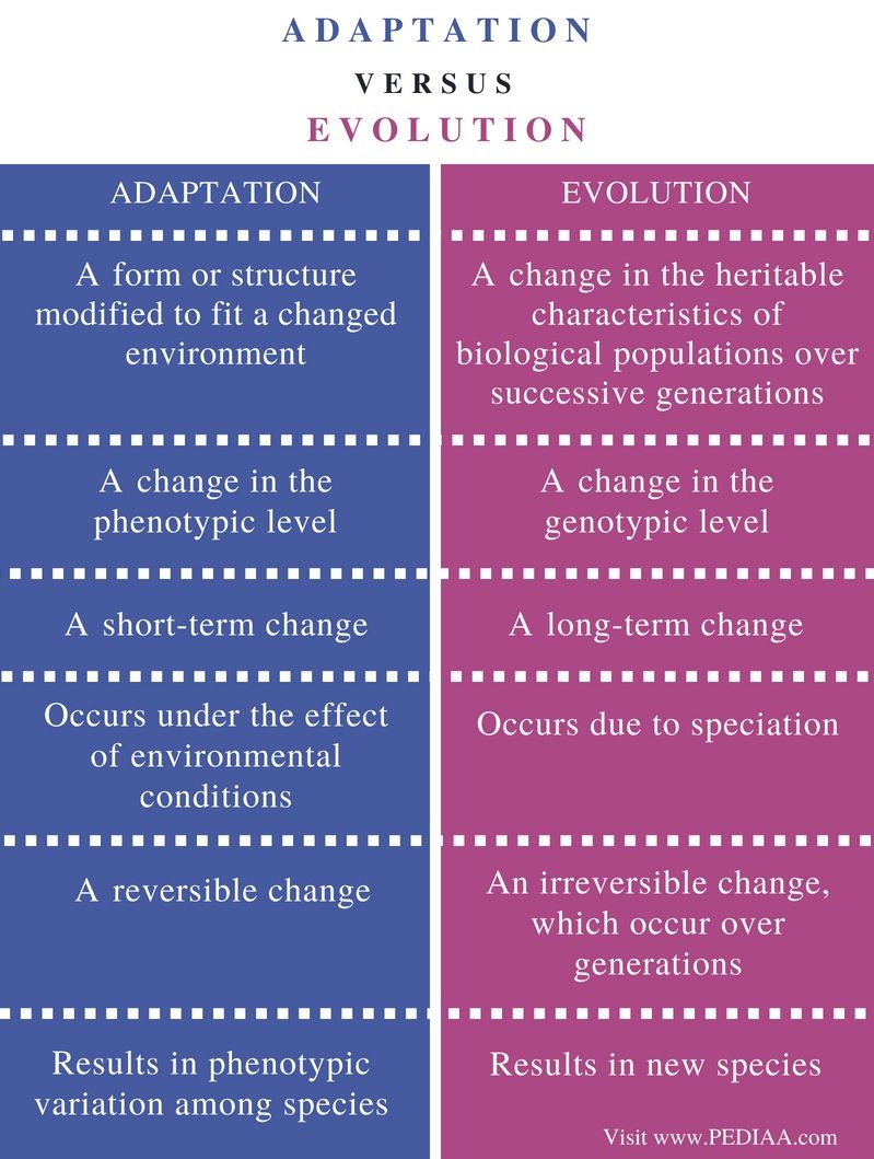 Difference Between Adaptation And Evolution Pediaa Com Evolution