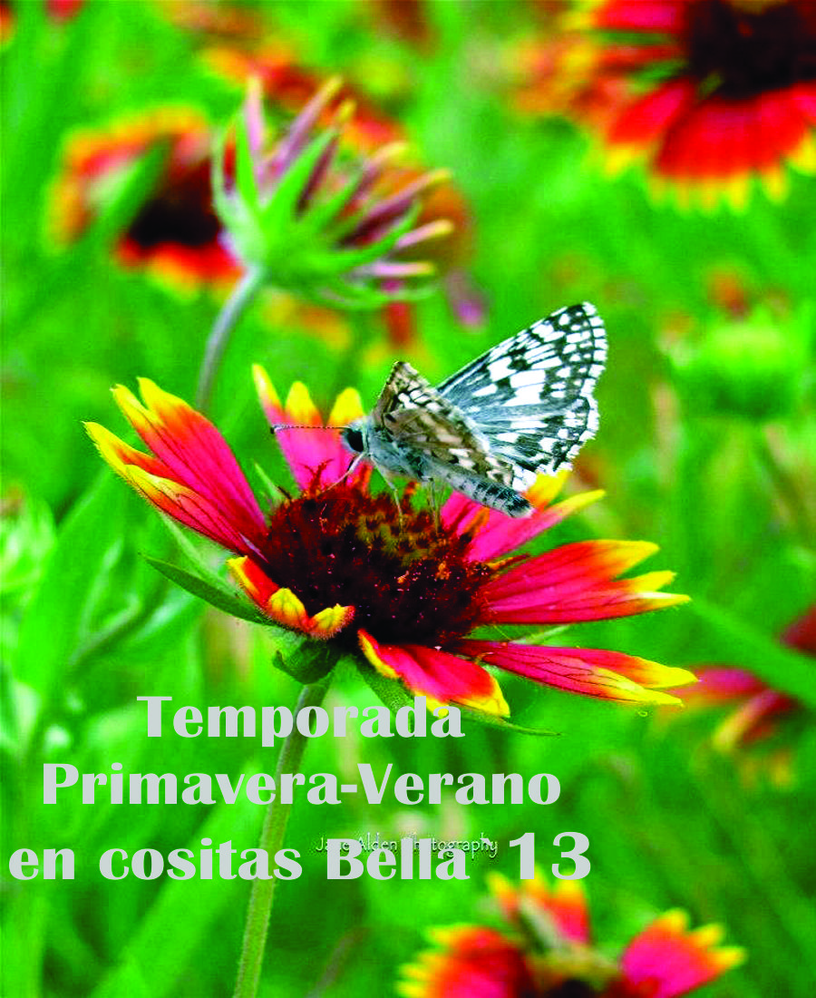 Temporada Primavera Verano En Cositas Bellas Primavera Verano Primavera Temporadas