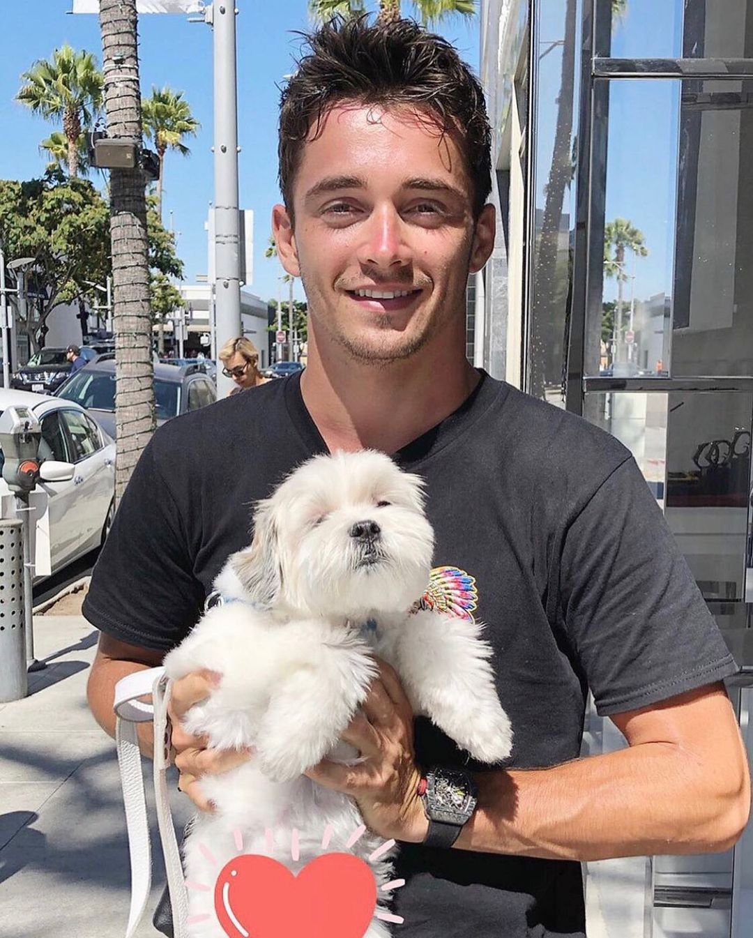 Charles Leclerc | Fanpage™️’s Instagram post: “Adorable!! the dog is ... Charles Leclerc | Fanpage™️’s Instagram post: “Adorable!! the dog is ...
