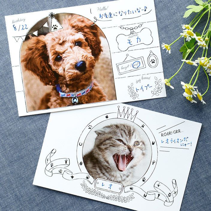 愛犬・愛猫のペット名刺が作れるポストカードが登場 ポストカード 名刺 デザイン ペット