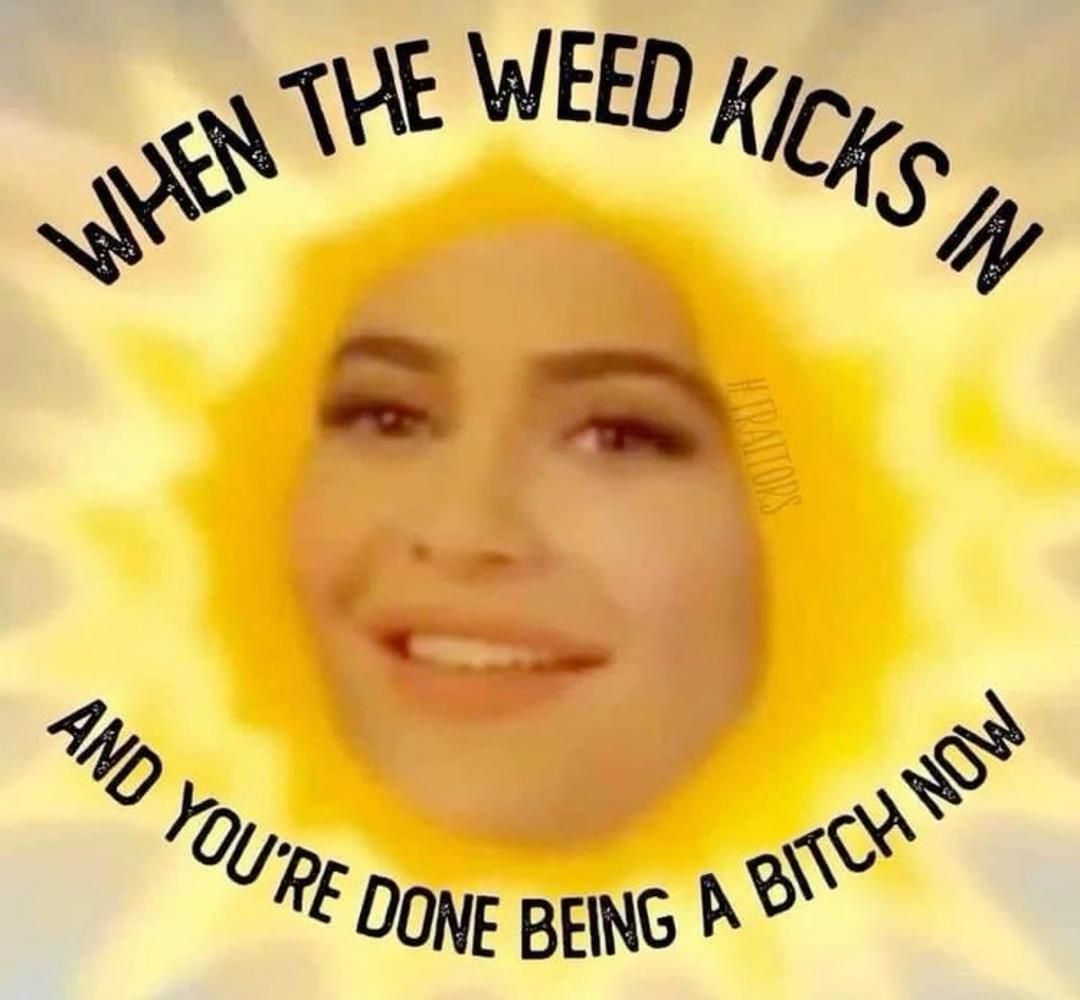24 Things Everyone Who Smokes Weed Will Understand Artofit