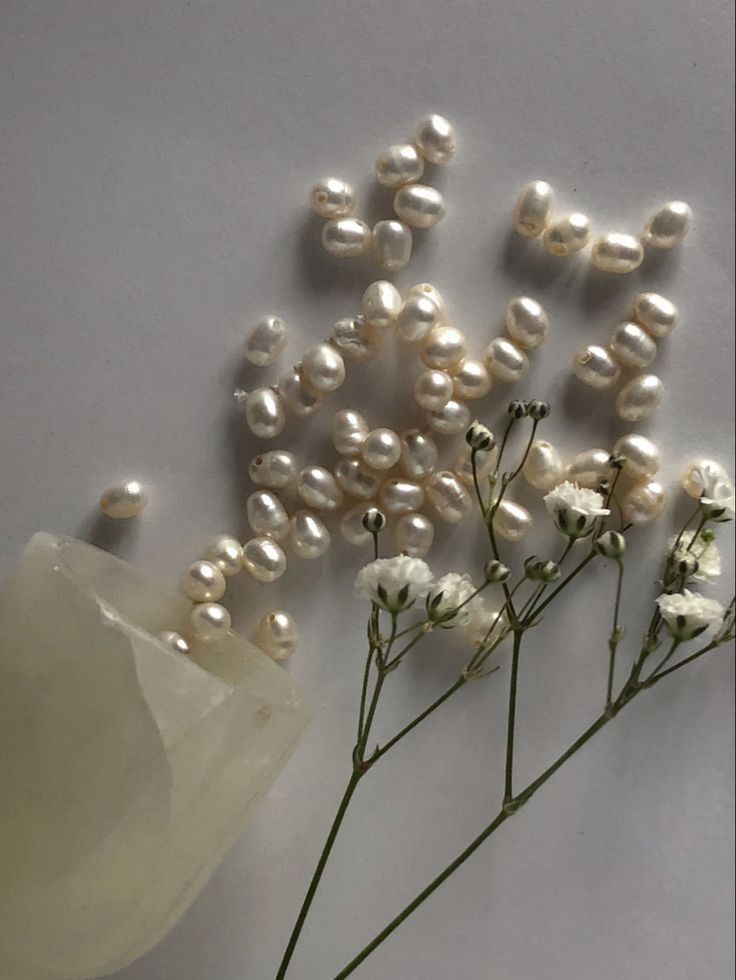 Pearl Aesthetic Flowers Pearl Aesthetic Pearls Aesthetic Creative Jewelry Photography