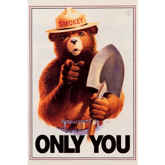 Bear Signs Smokey The Bears Barbie Business Decor Vintage Poster
