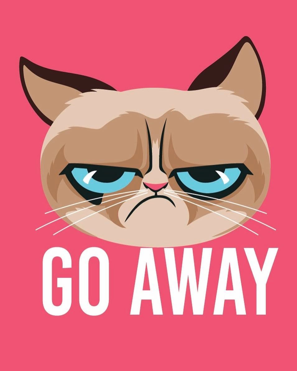 40 9 K Gilla Markeringar 194 Kommentarer Grumpy Cat Realgrumpycat