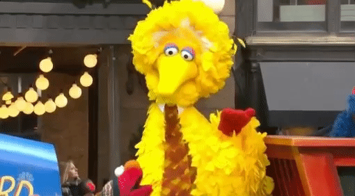 New Party Member Tags Yes Yep Big Bird Macysparade Big Bird Funny Giphy