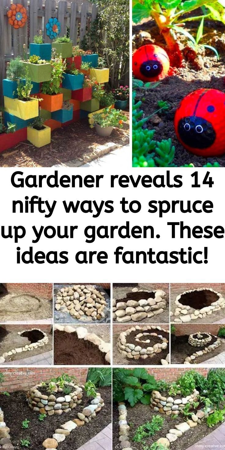 21 Creative Garden Edging Ideas That Will Make Your Neighbors Jealous