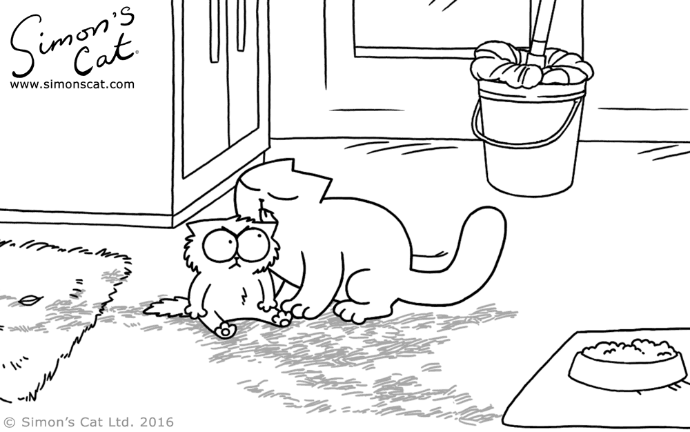 Maxwell The Cat Discover More Alan Moore Comic Book Hand Drawn Jill De Ray Maxwell The