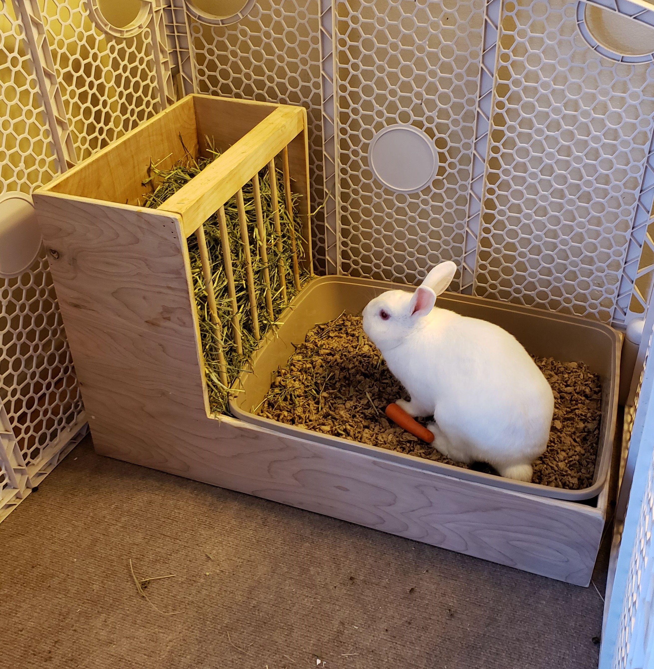 Rabbit Hay Feeder And Litter Box Rabbit Litter Box Bunny Litter Box Rabbit Hay