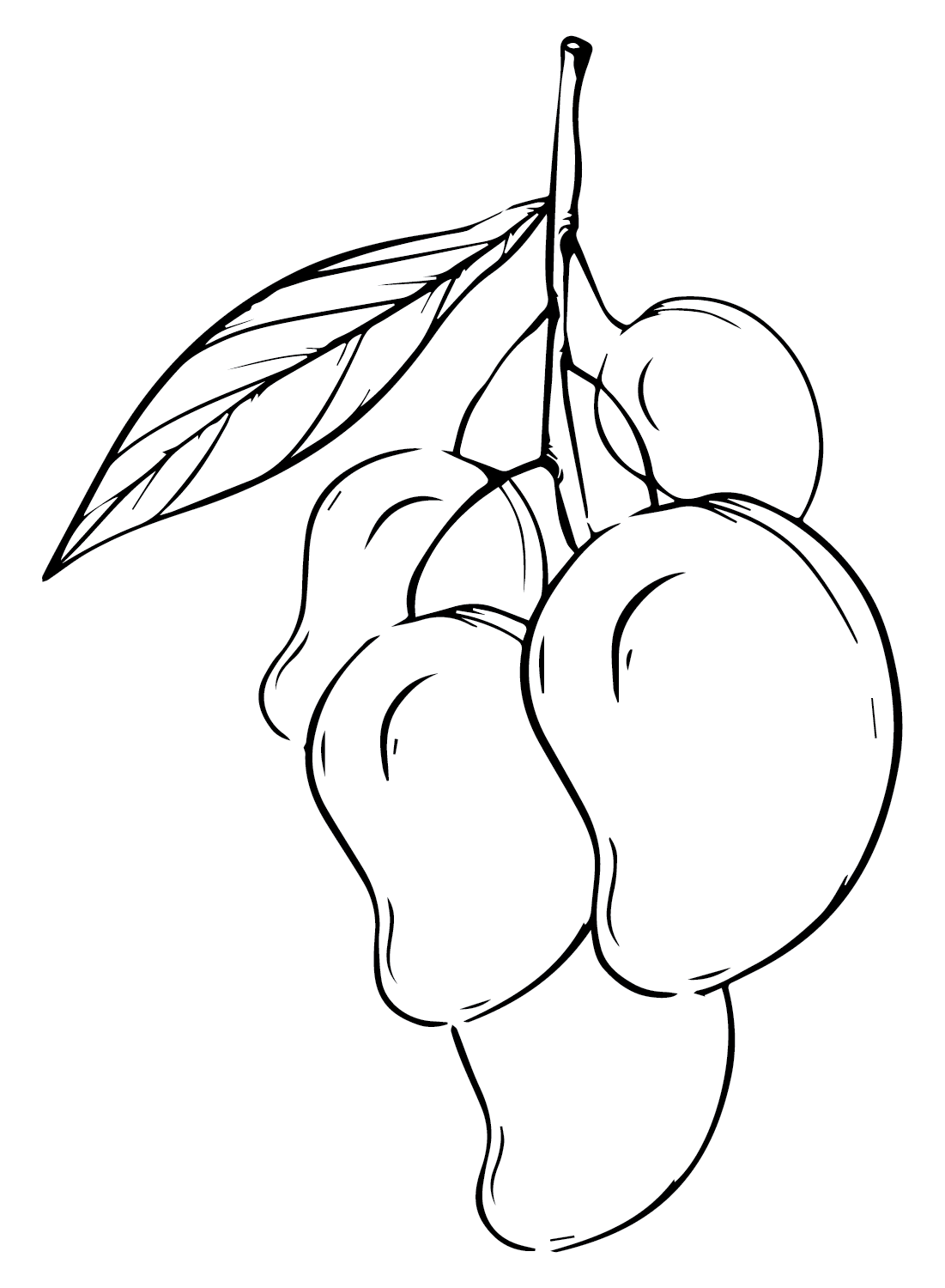 22 Mango Coloring Pages In 2024 Coloring
