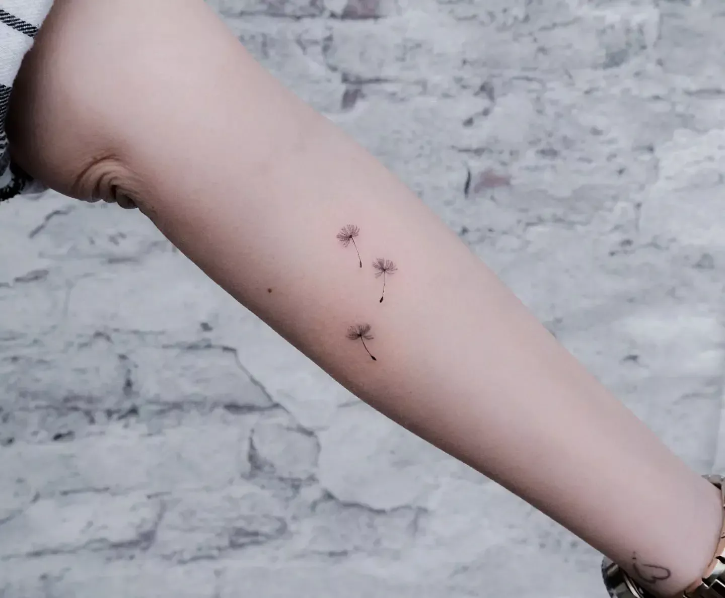 27 Amazing Dandelion Tattoo Ideas To Inspire You In 2024