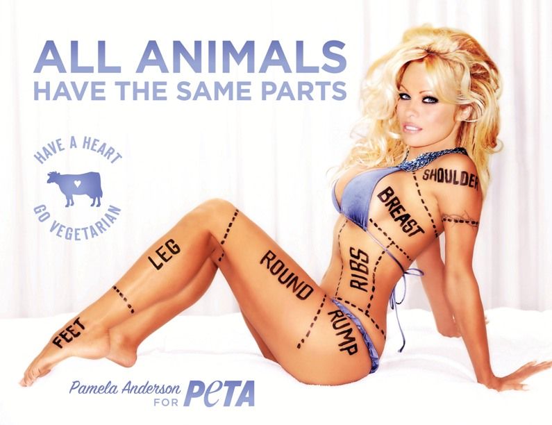 Pin On Vegan Celebs