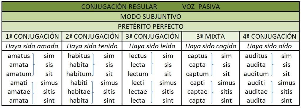 El Verbo Latino Conjugación Regular Pasiva Lenguas Clásicas En 2021