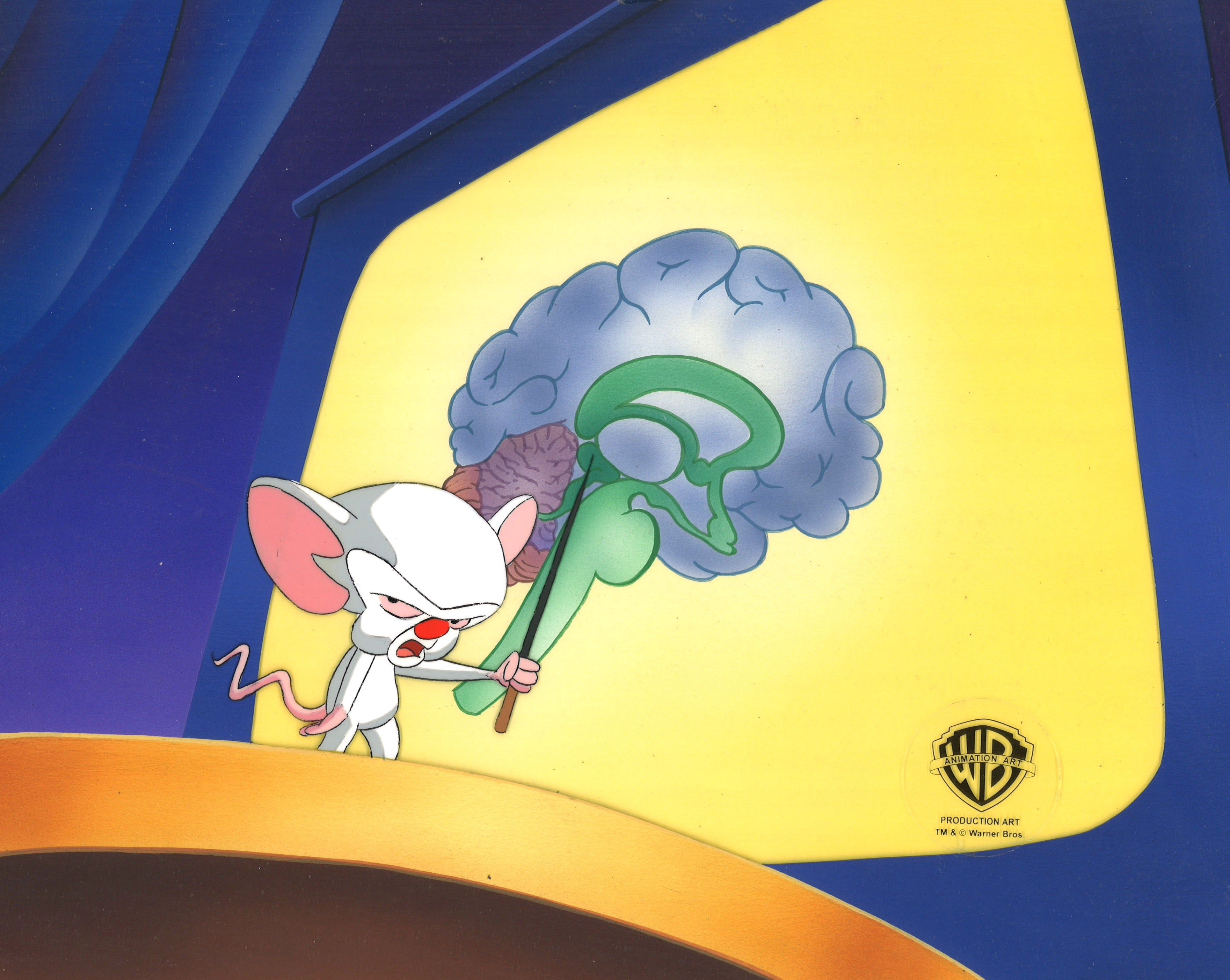 Pinky And The Brain Original Production Cel On Original Background Brain Cel First Animation