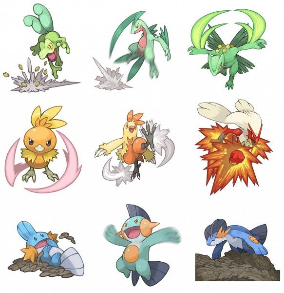 Treecko Torchic Mudkip Evolutions