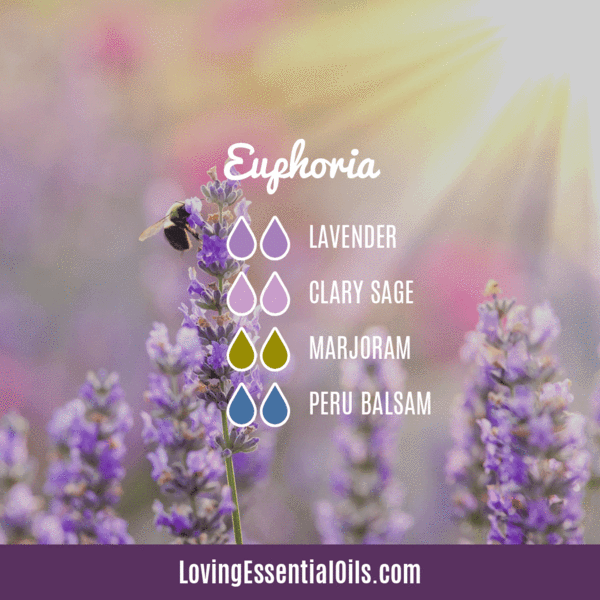 Lavender Diffuser Blends - Promote Comfort & Oily Wellness | Recipe ... Lavender Diffuser Blends - Promote Comfort & Oily Wellness | Recipe ...