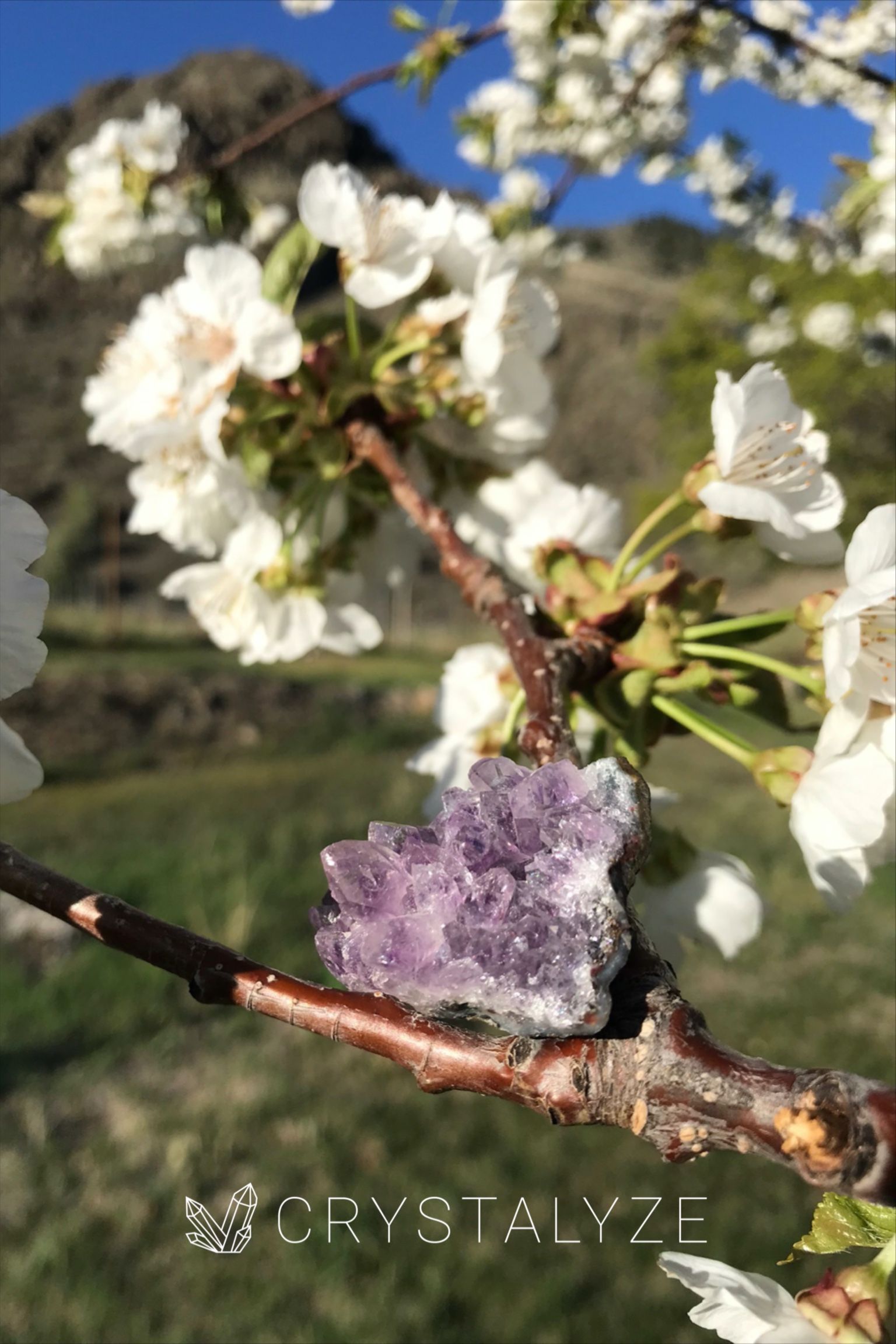 Amethyst meaning healing properties chakras – Artofit Amethyst meaning healing properties chakras – Artofit