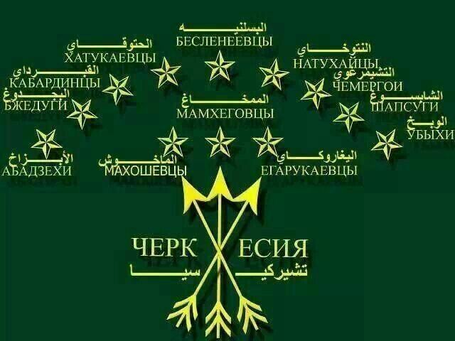Circassian Flag Hayat Ağacı Tarih Tuval Sanatı