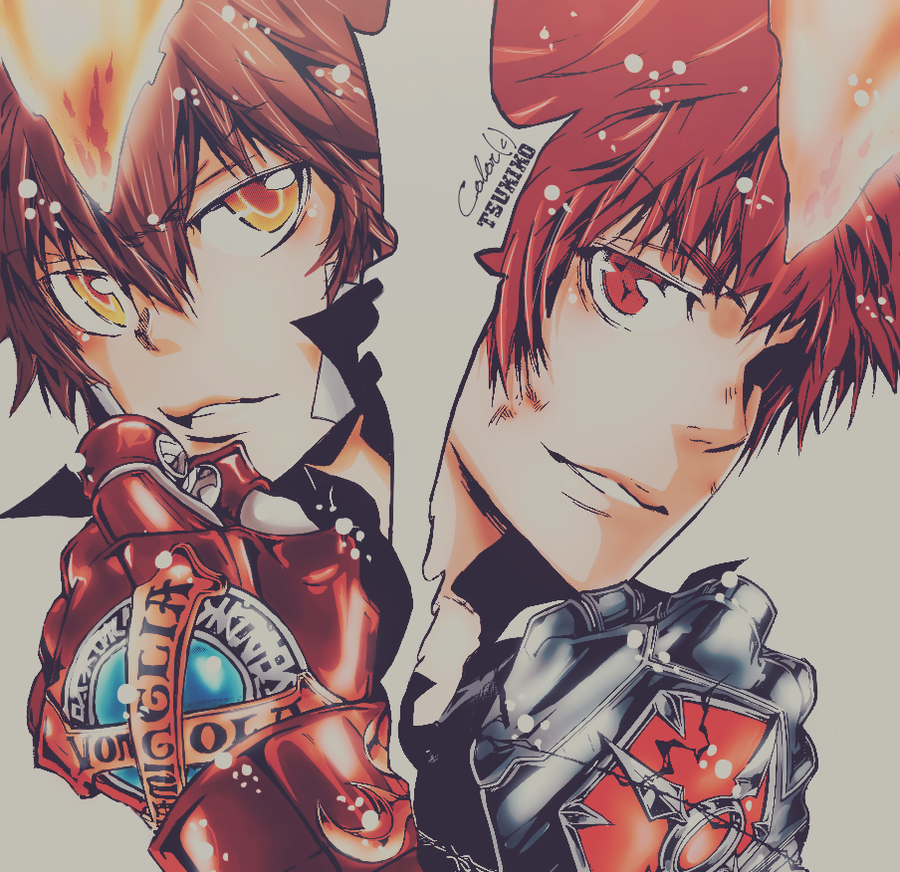 Tsunaenma The Hiper Duo Hitman Reborn Reborn Katekyo Hitman Hitman
