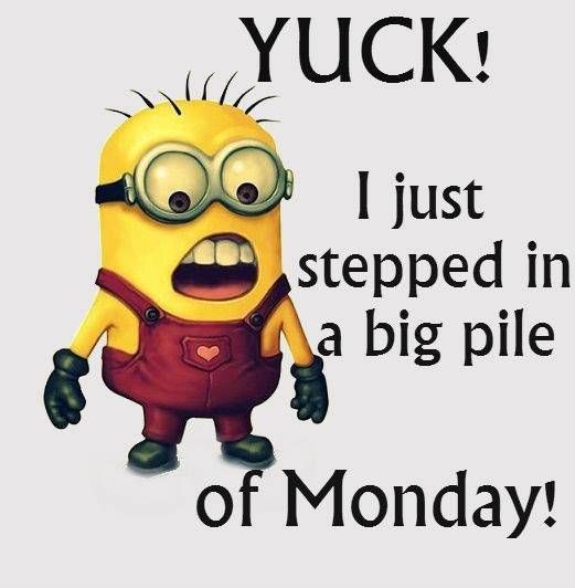Pin On Humor