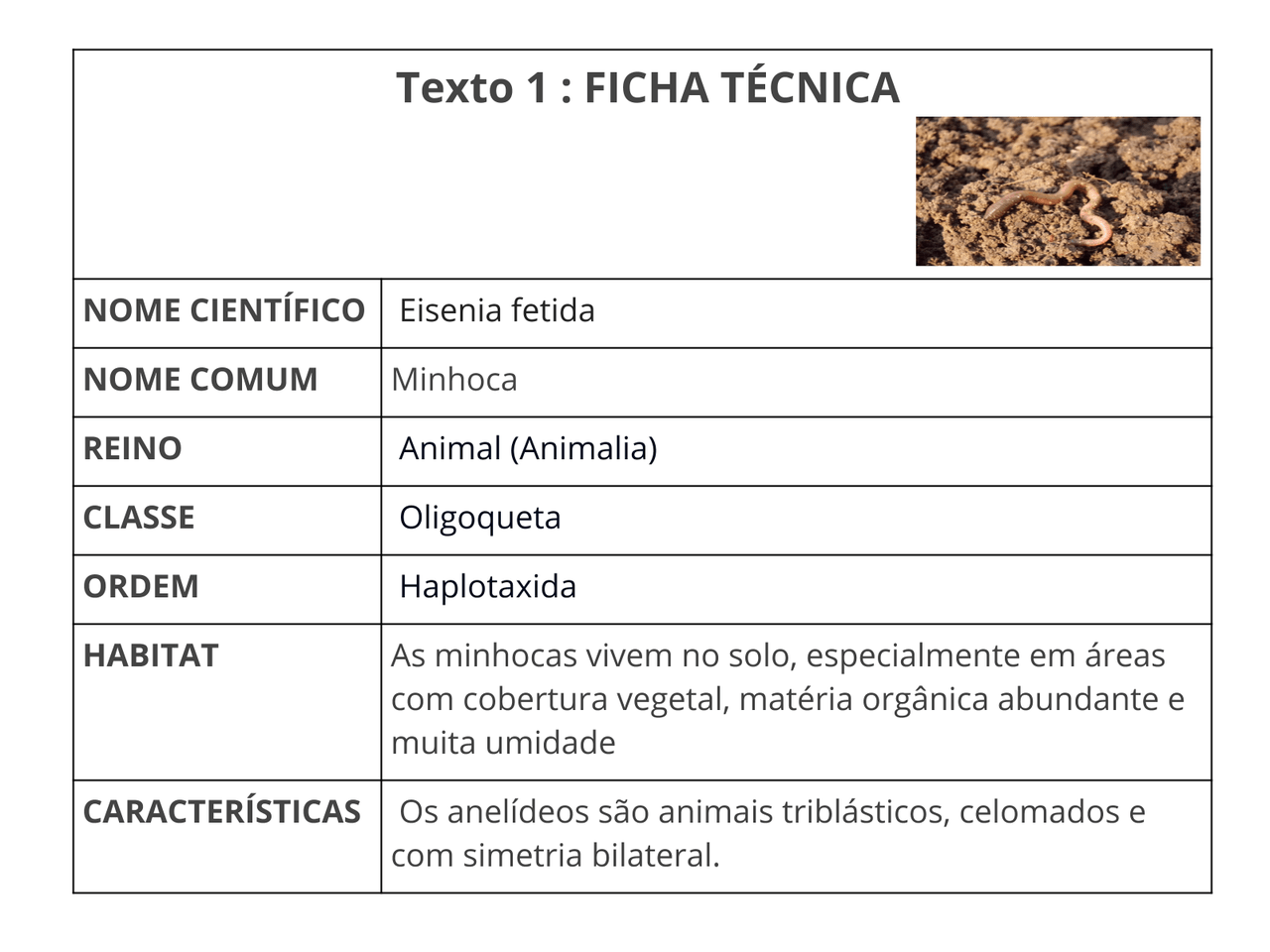 35 Planos De Aula Para Desenvolver A Habilidade Ef15lp03 Da Bncc