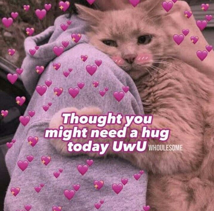 Cute Cat Memes Love Memes Funny Memes Relationship Memes Cute Relationships Goodnight Cute