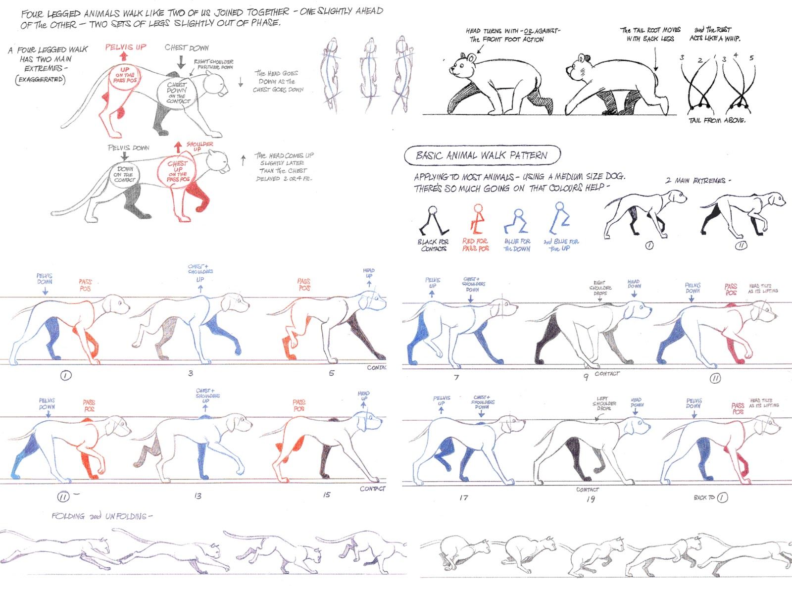 3d Character Animation Animation Reference Art Reference Richard Williams Key Frame