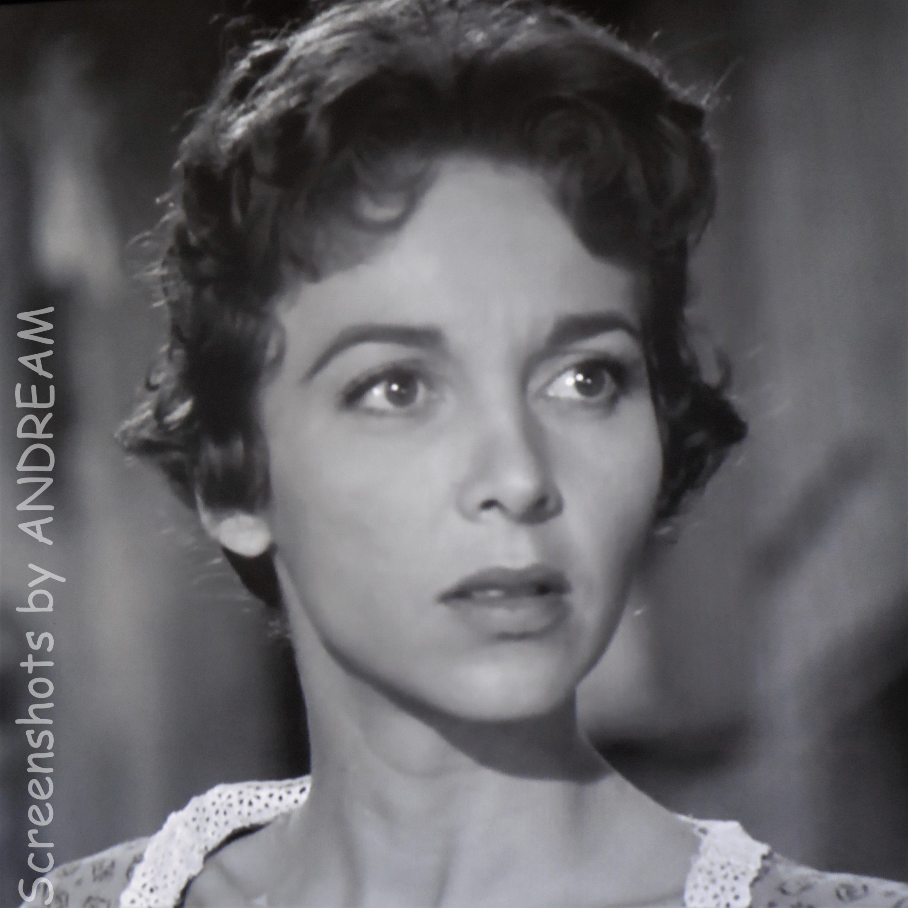 Pin On Trackdown Tv Series 1957 1959