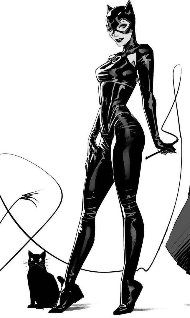 Catwoman Comic Batman And Catwoman Batman Comics Catwoman Cosplay