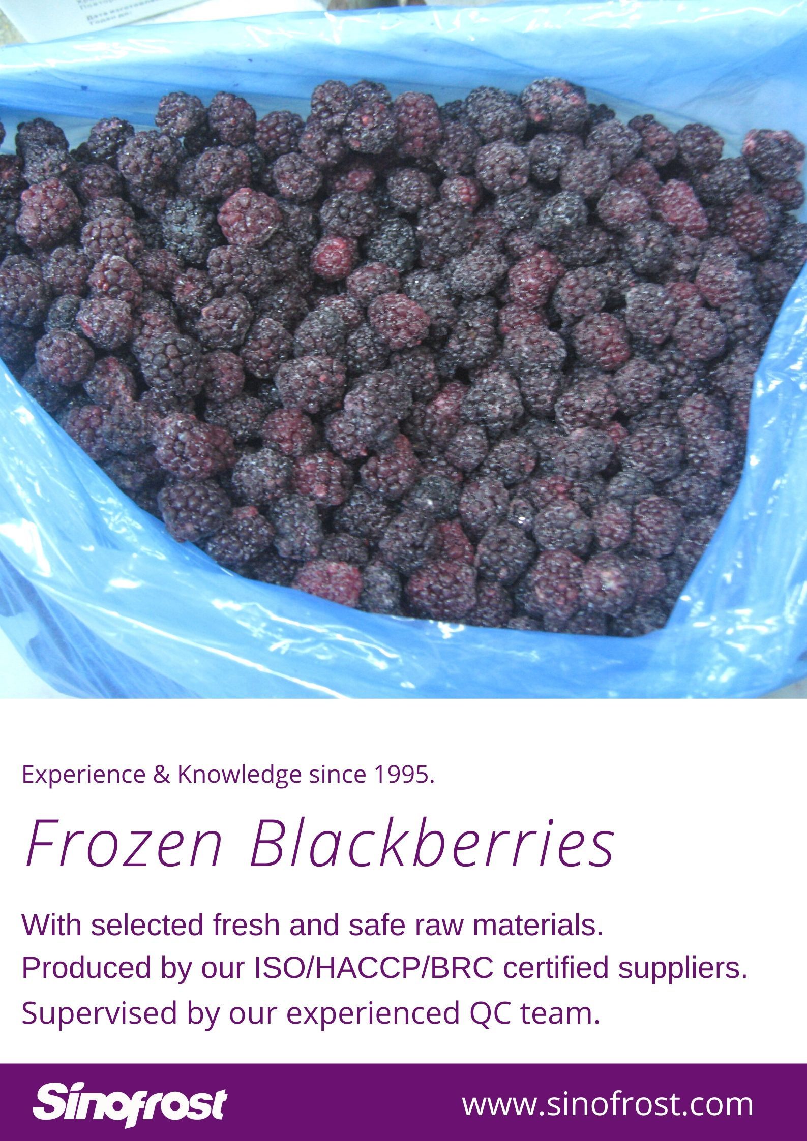 IQF Blackberries | How to freeze blackberries, Frozen seafood, Frozen fruit IQF Blackberries | How to freeze blackberries, Frozen seafood, Frozen fruit